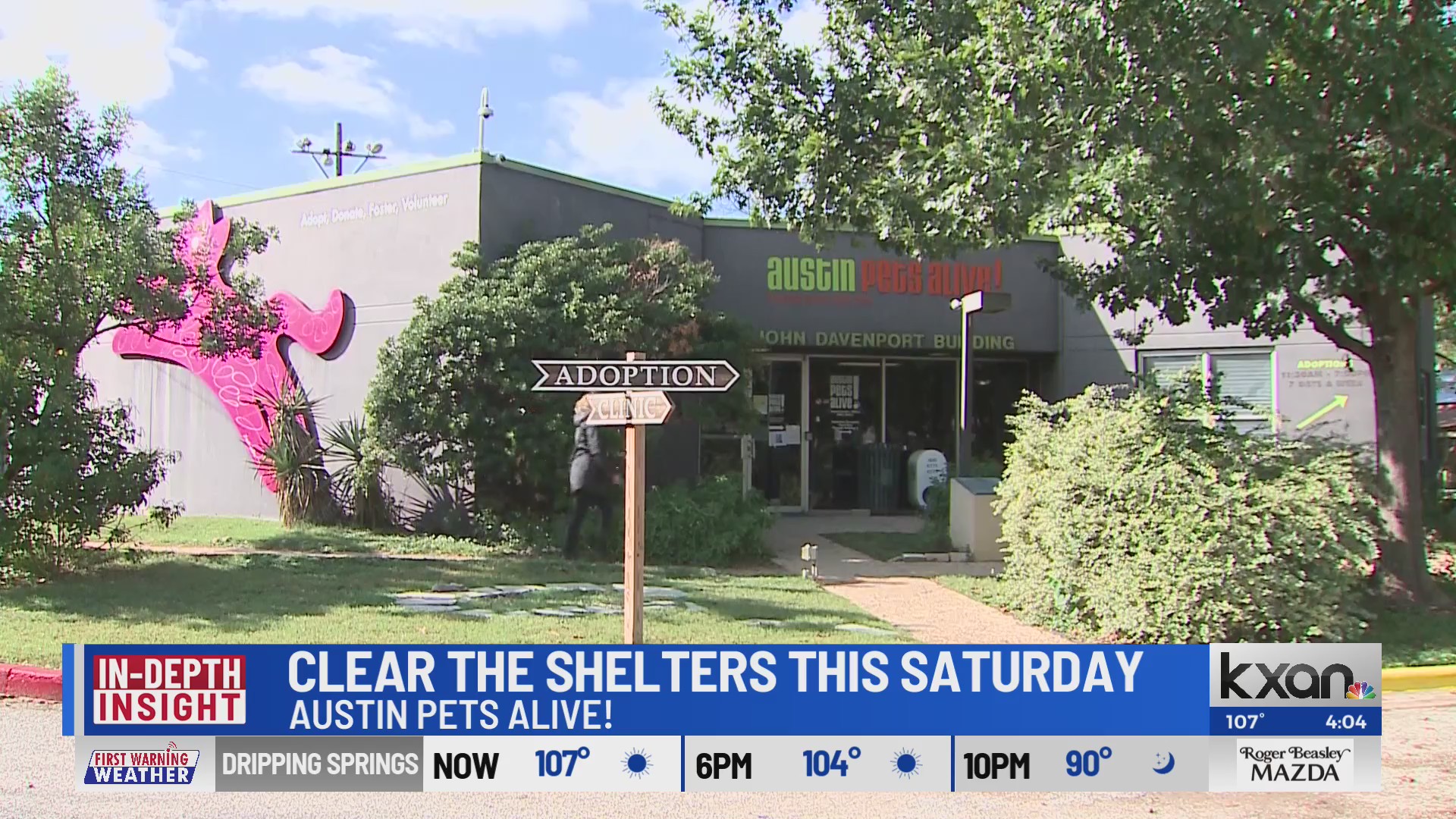 Austin Pets Alive! talks with KXAN about adoptions – BorderReport