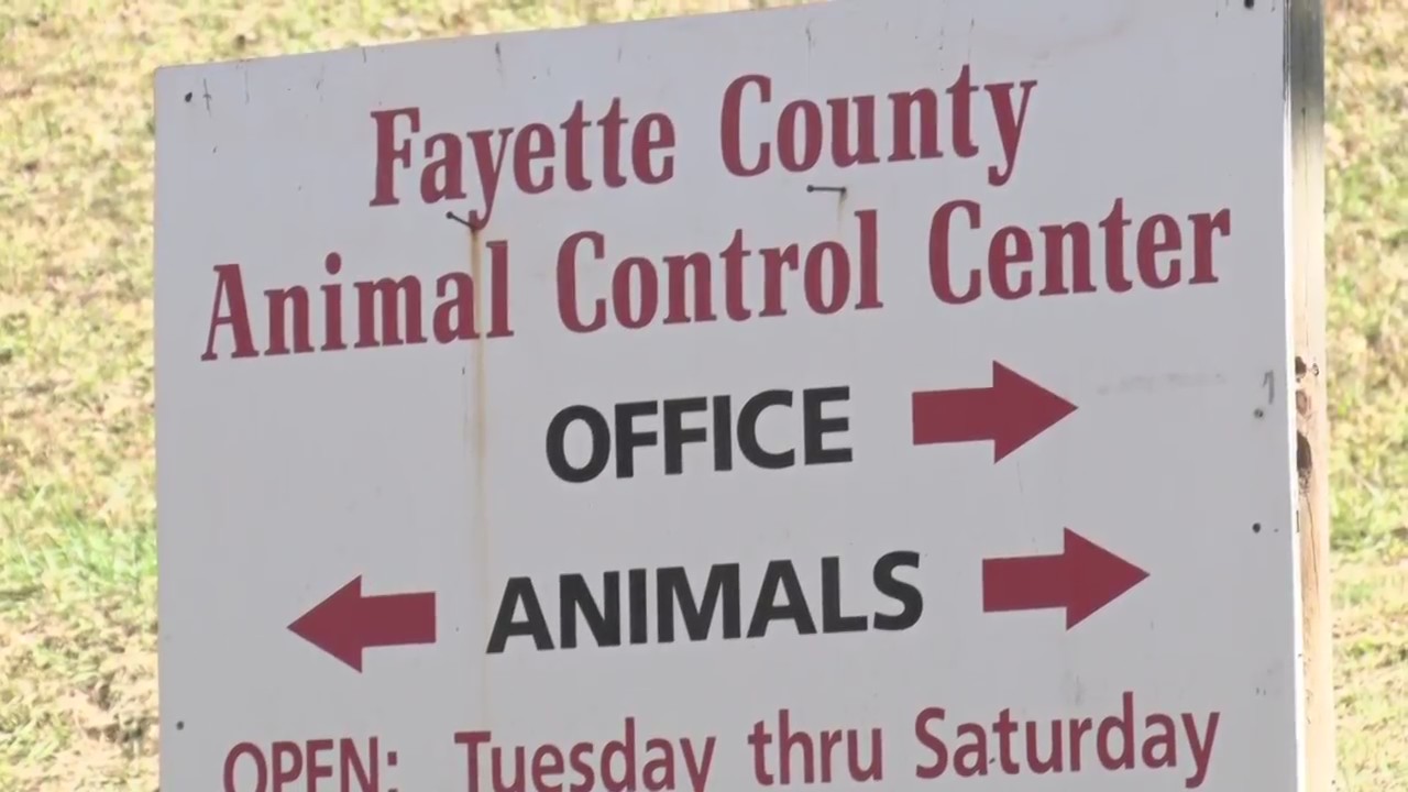 Fayette County Animal Shelter Under New Management – WVNS