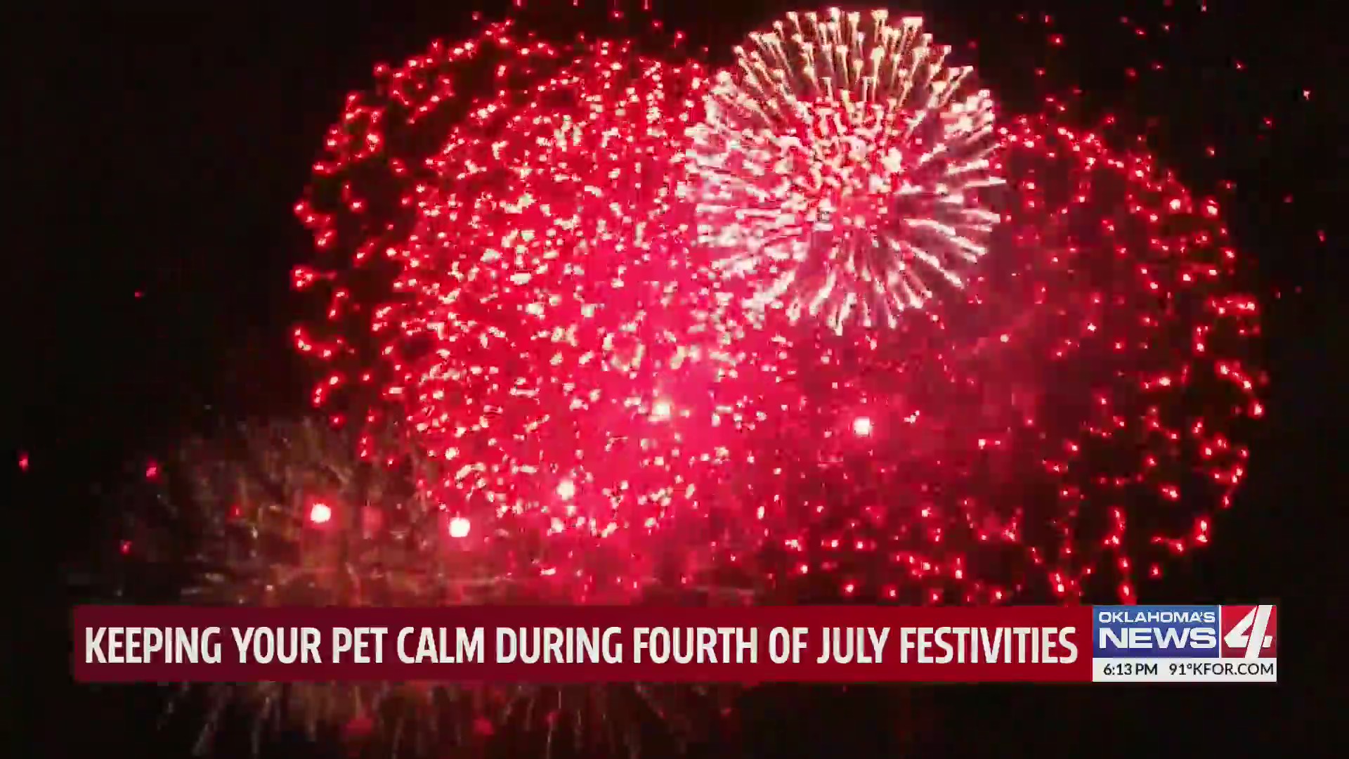 Keeping your pet calm during fourth of July festivities – KFOR.com ...