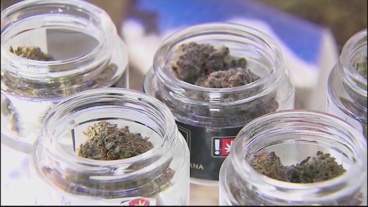 Study: Smoking weed daily as bad as cigarettes, can lead to heart ...