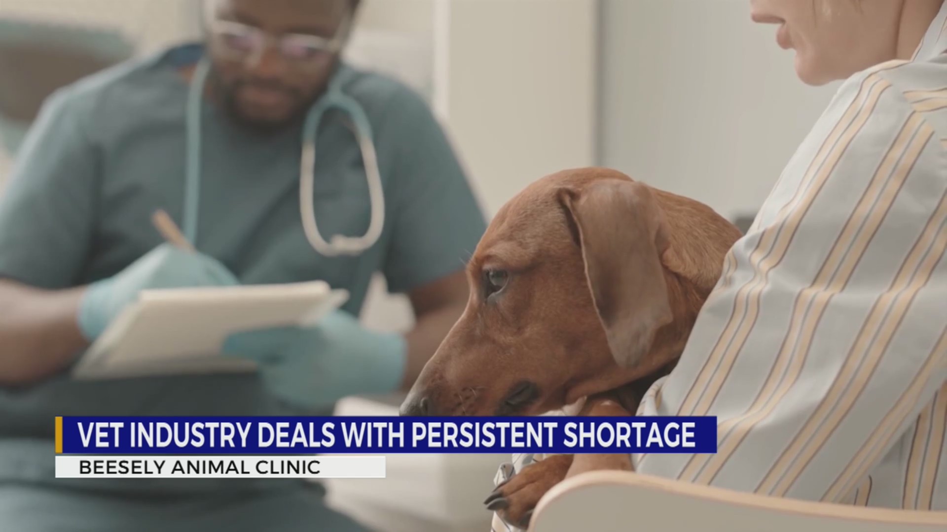 Vet industry deals with persistent shortage – WKRN News 2