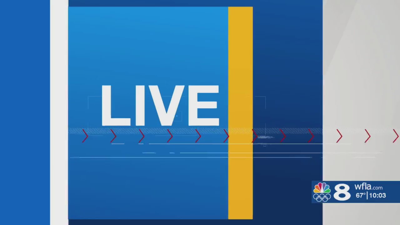 Justin Mosely 10pm weather – WFLA