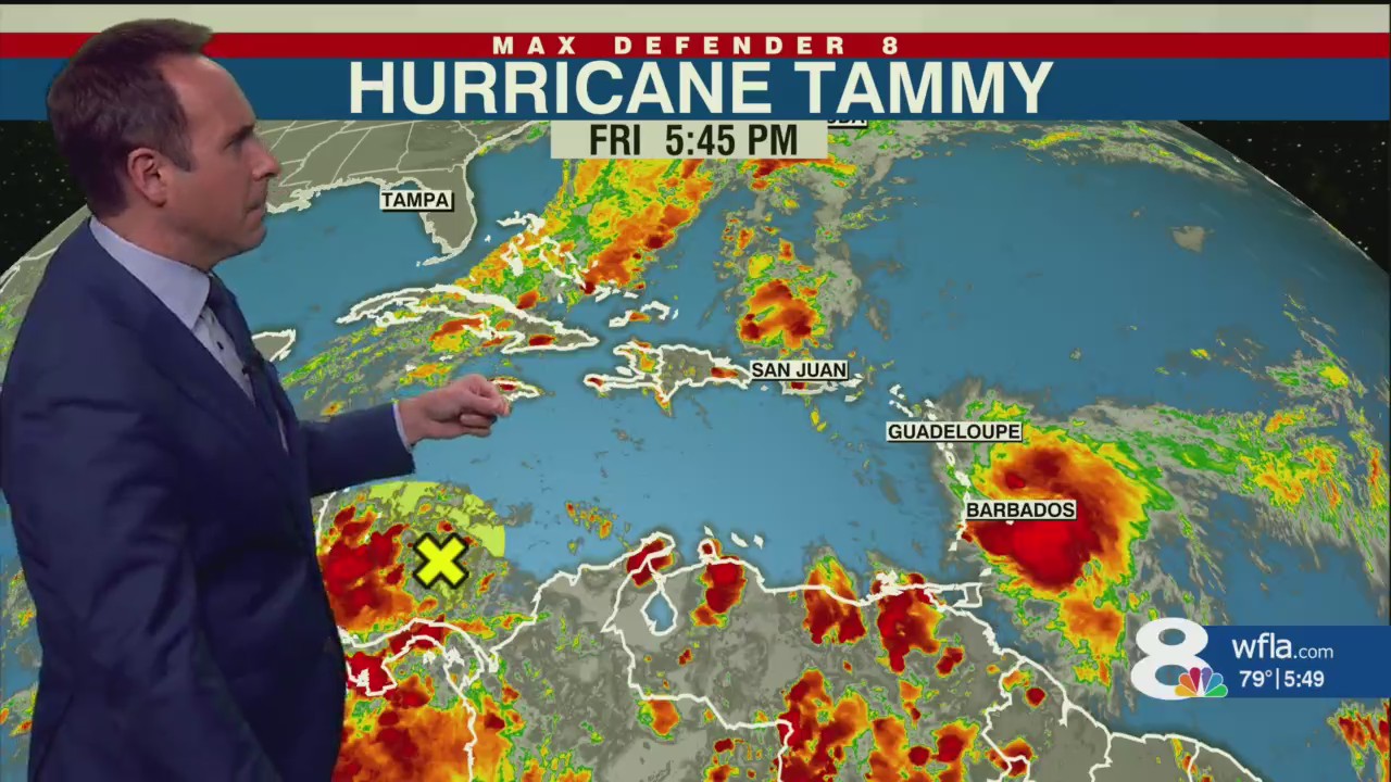 Tammy strengthens into hurricane near the Caribbean, NHC says – WFLA