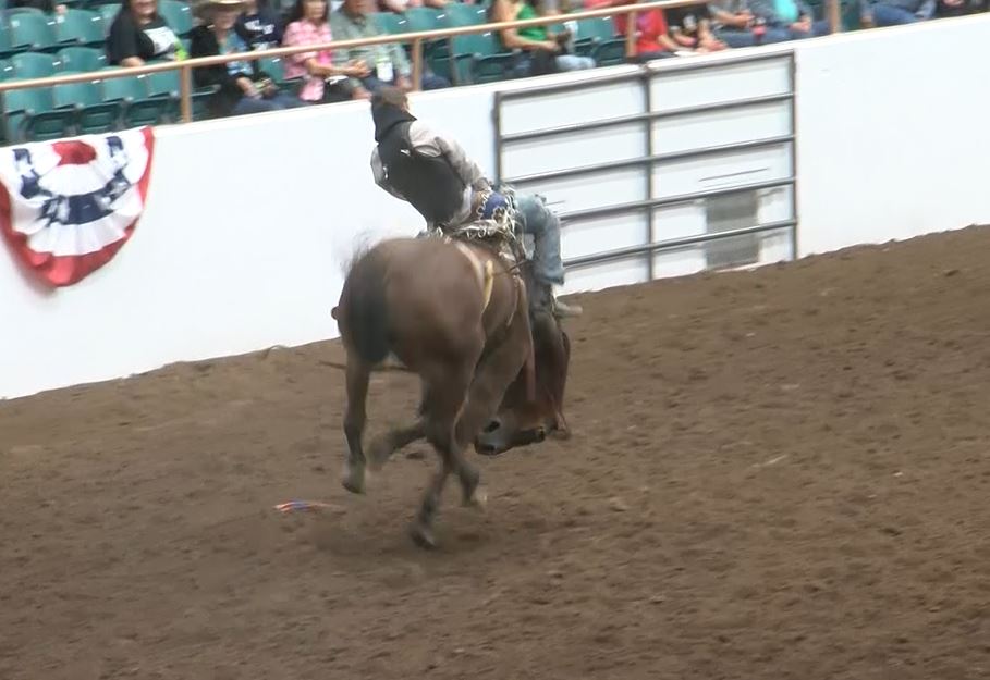 Riders ‘put their lives on the line’ while competing at New Mexico ...