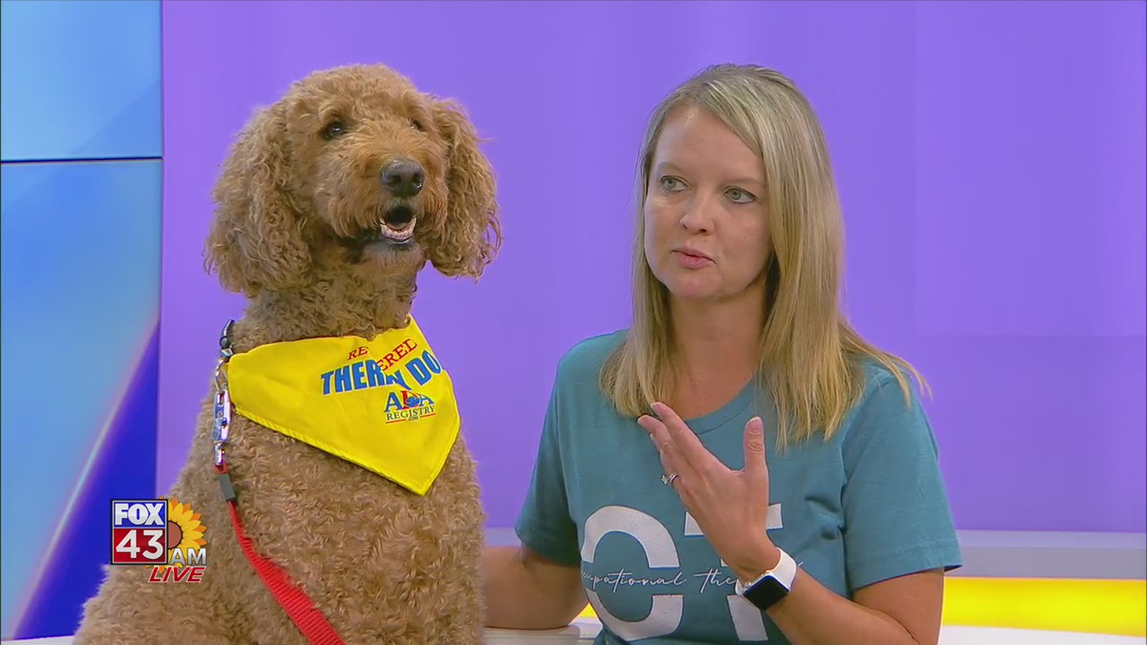 Amy Douglas and Therapy Dog, Toby, join the Fox 43 AM Live Show! – KSNT ...