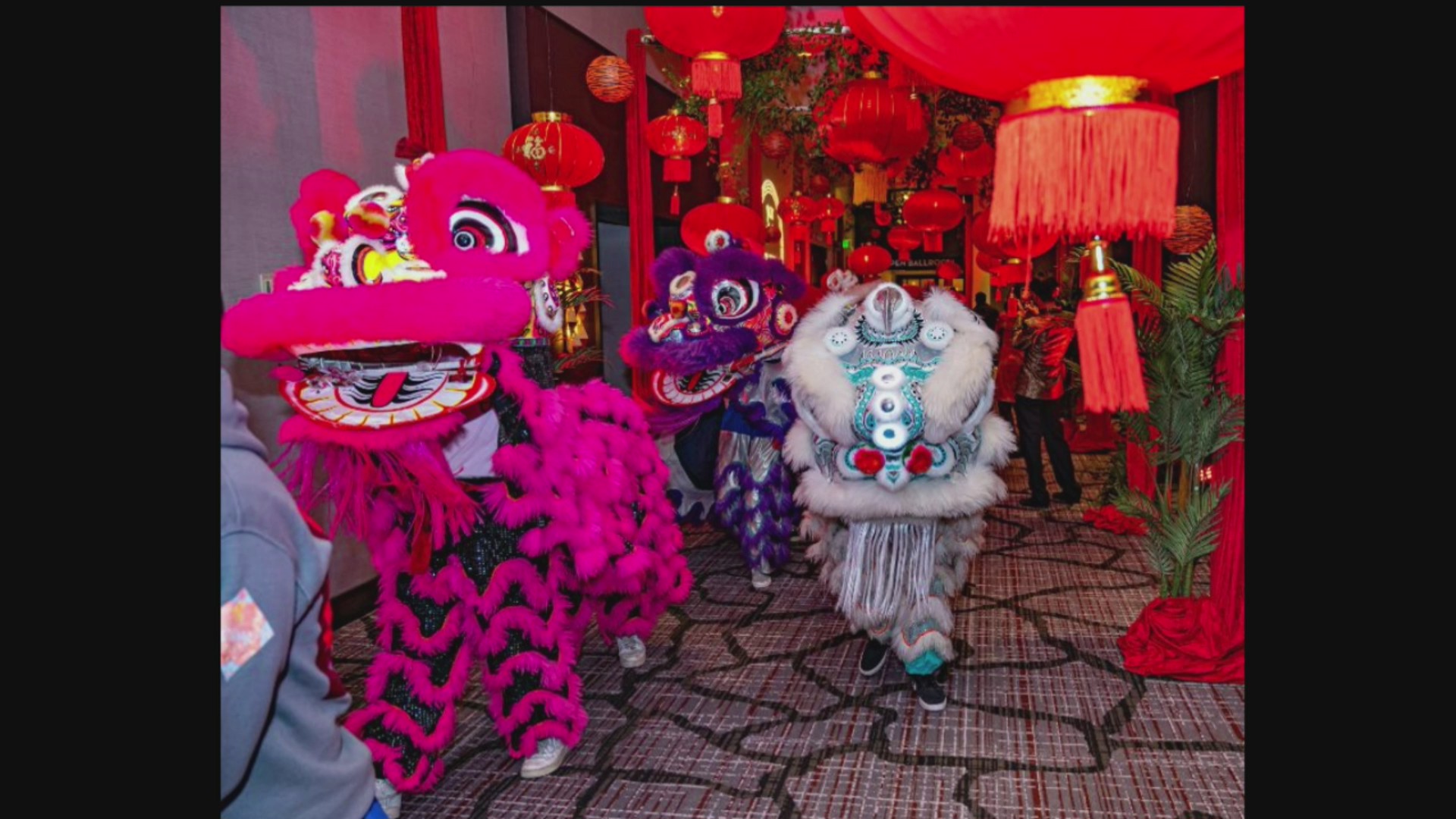 The Lunar New Year Celebration: Nathan Yip Foundation – FOX31 Denver