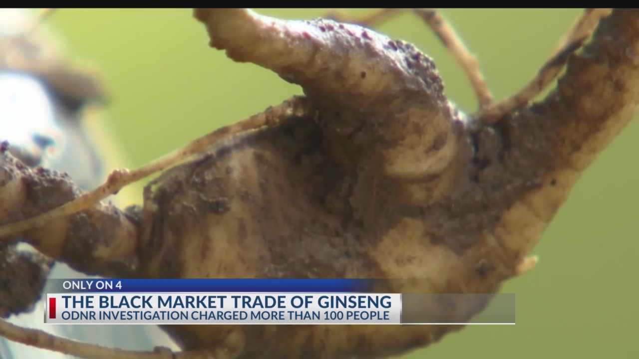 Investigation reveals tie of medicinal plant to Ohio drug trade – NBC4 ...