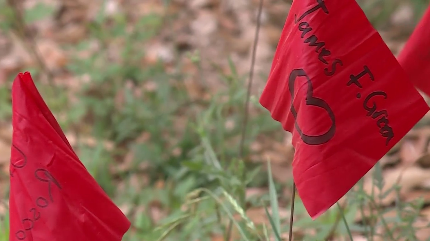 Flags at Pease Park to honor those who died of HIV, AIDS – KXAN Austin