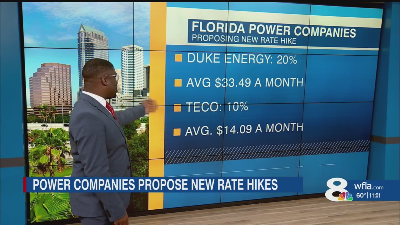 Florida power companies propose 10% to 20% rate hikes for April – WFLA