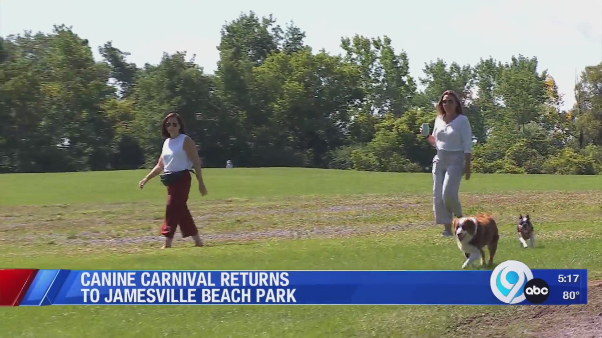 Canine Carnival returns to Jamesville Beach Park – WSYR