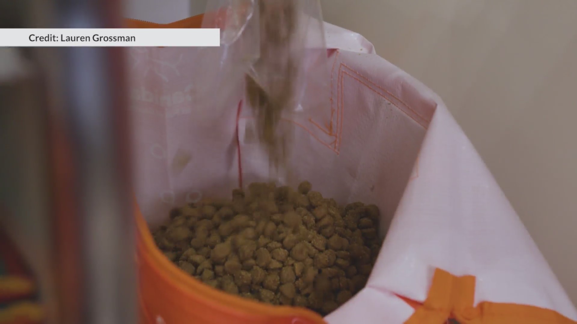 Rising inflation affecting pet owners – FOX31 Denver