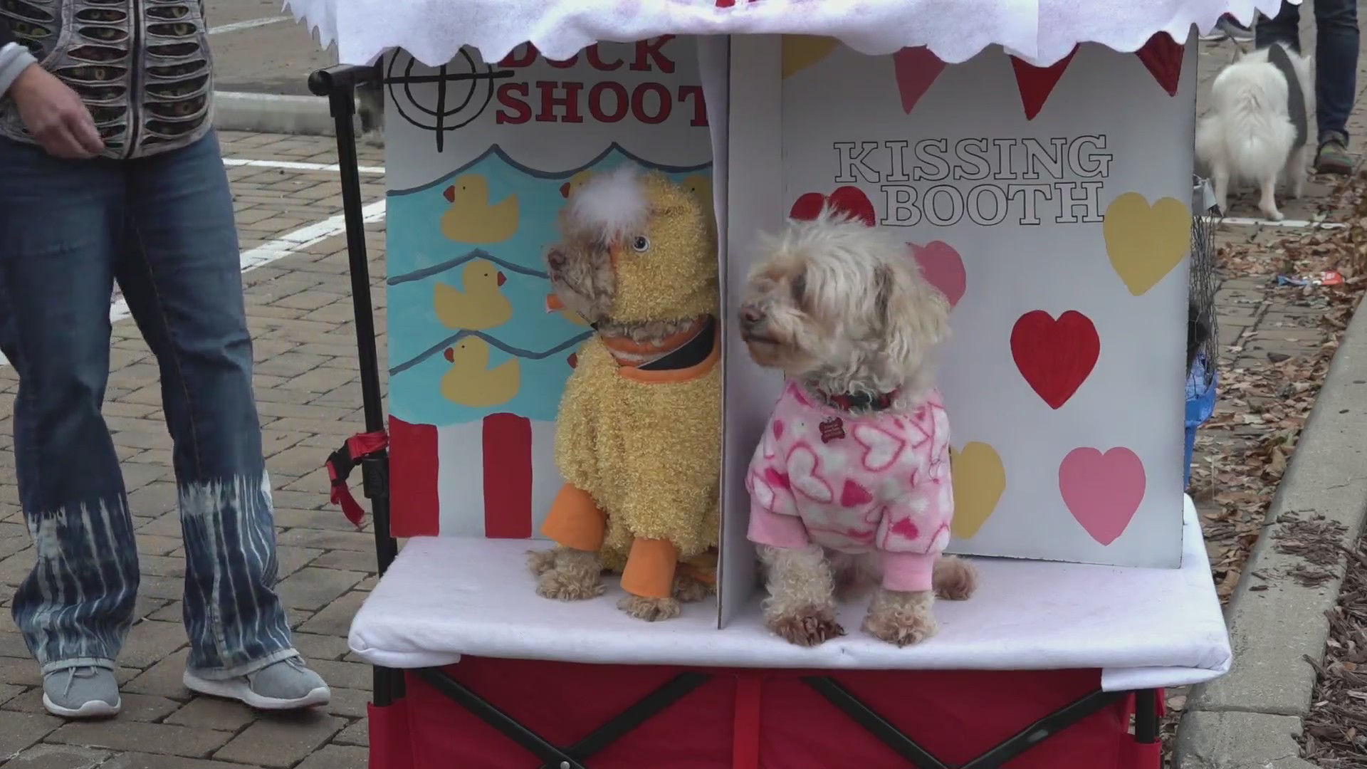 Flurry of furry friends gather for Halloween pet parade at the Loop – FOX 2