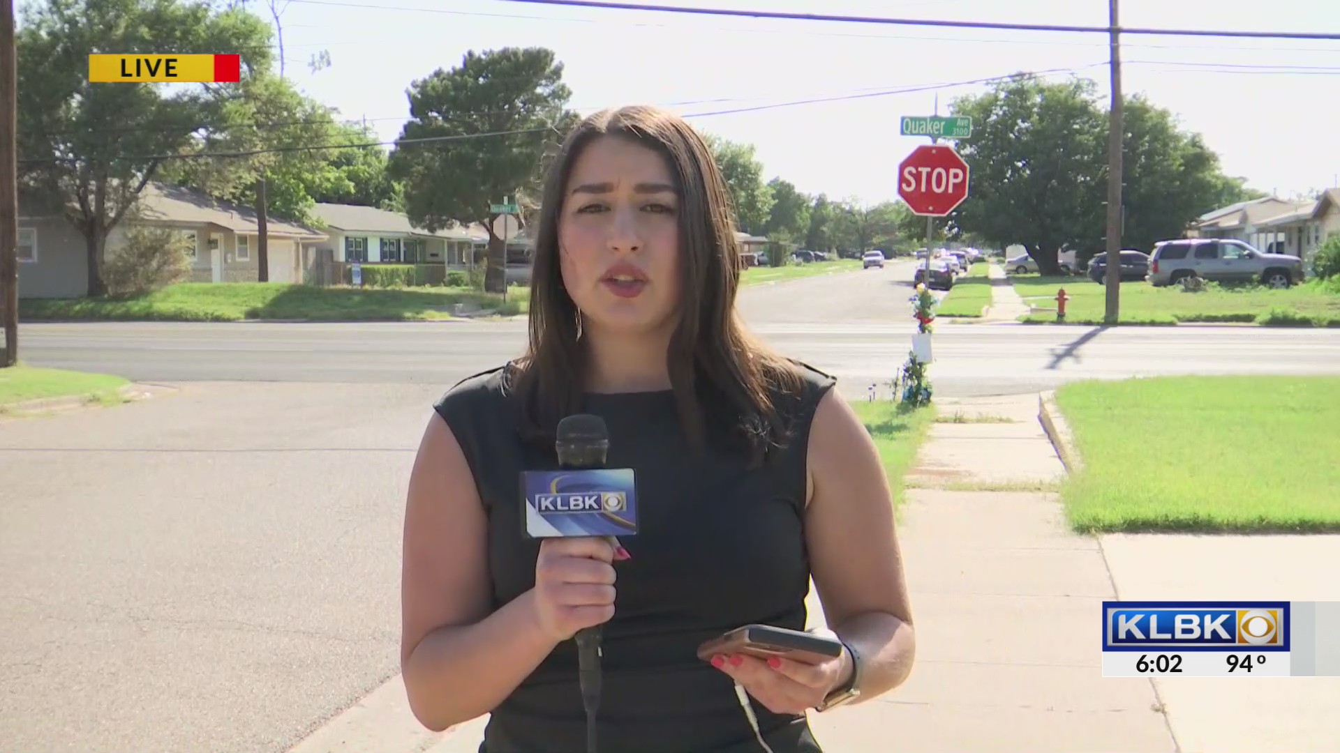 Details revealed, police report describes drunk driving crash that ...