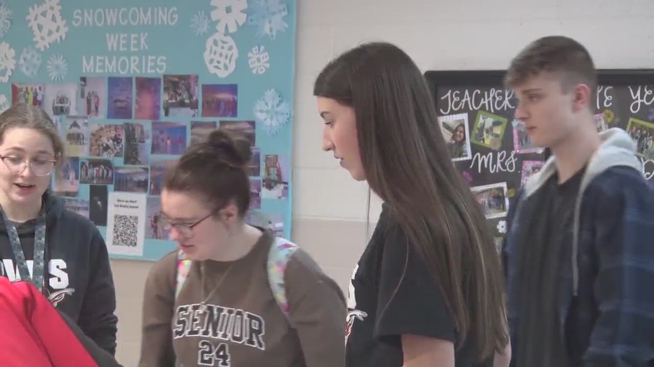 PikeView High School student Ella Biggs headed to States for swimming ...