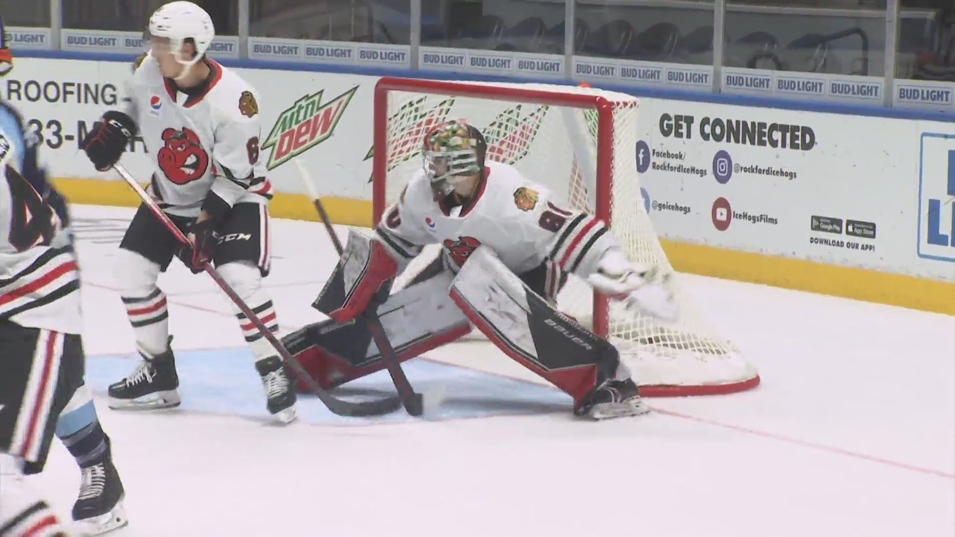 IceHogs fall to the Admirals on a School Day game in Rockford ...