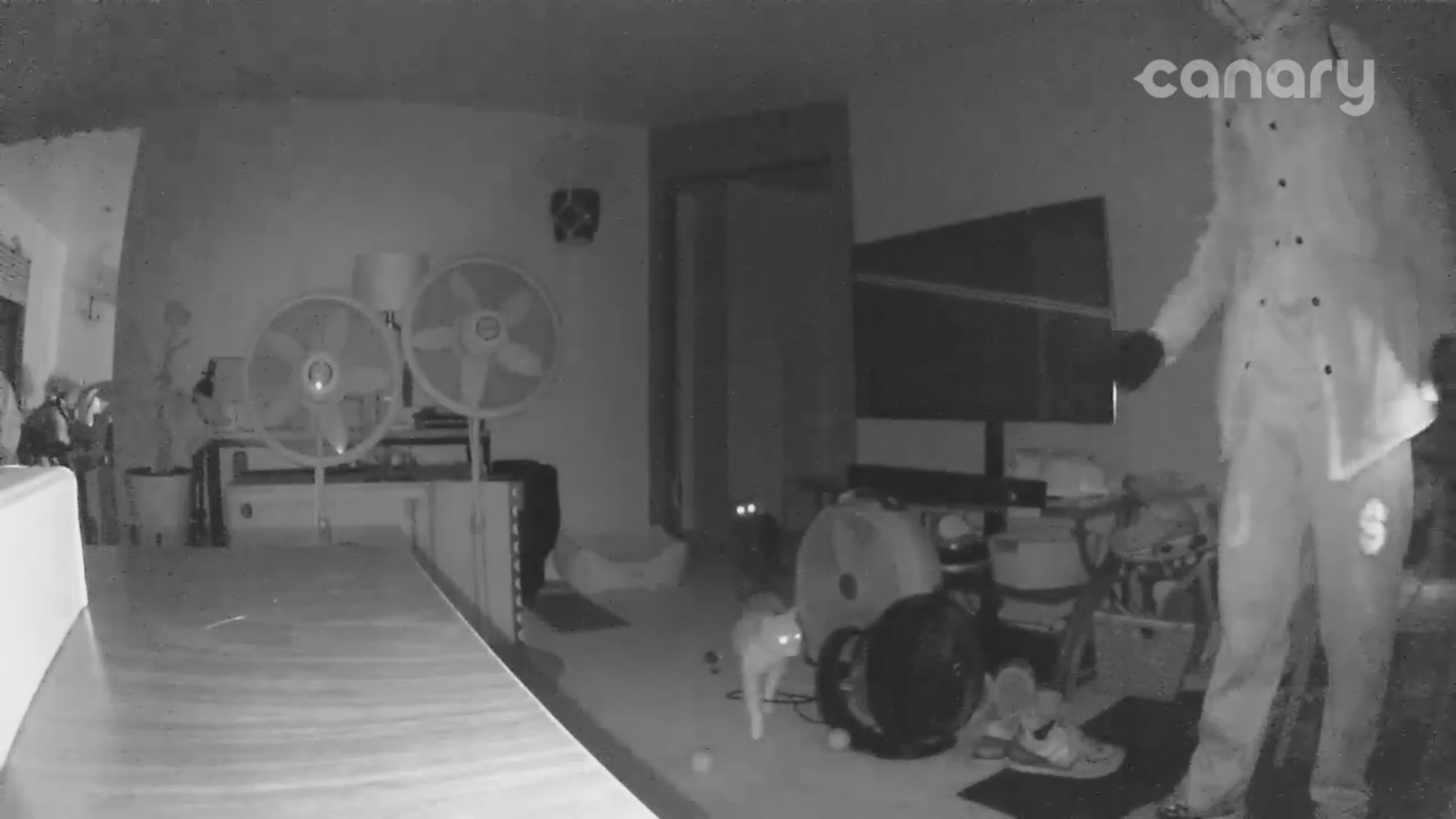 Couple Watches Armed Burglar Through Surveillance Video Fox31 Denver