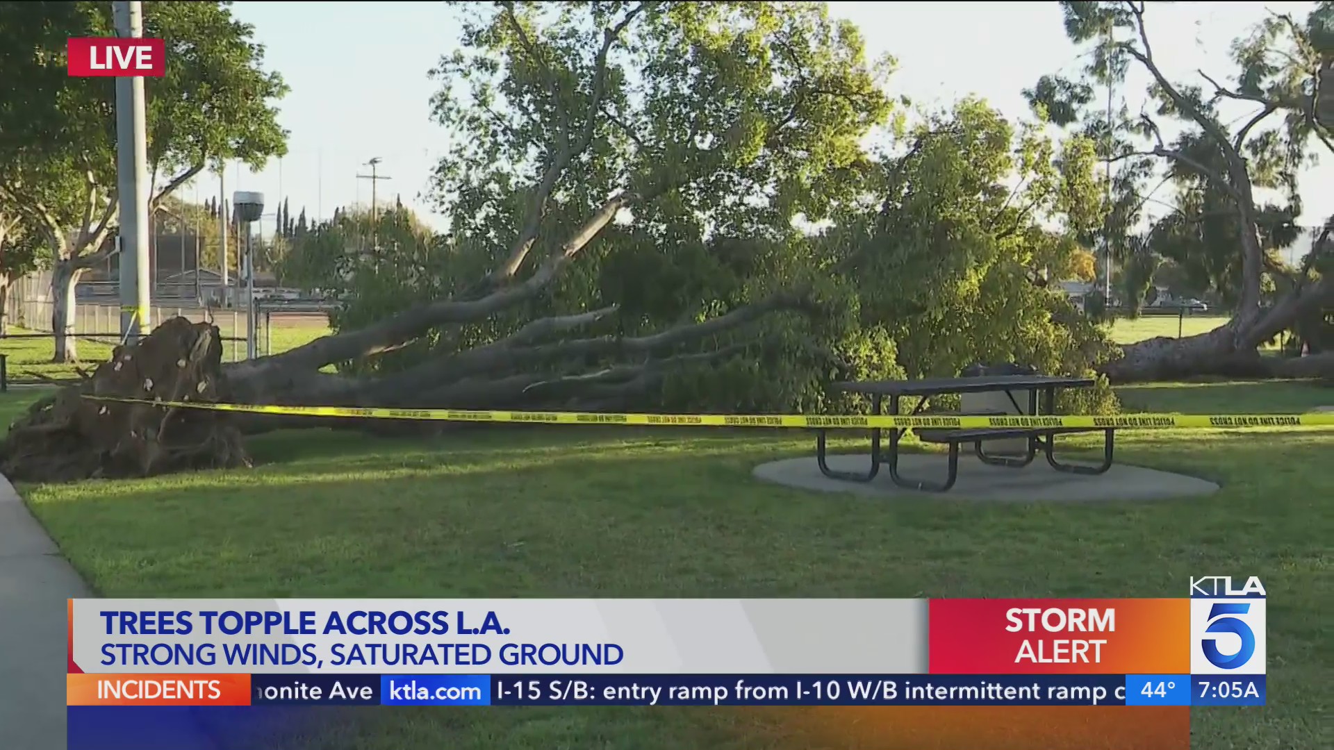 Destructive winds topple trees, powerlines across Southern California ...