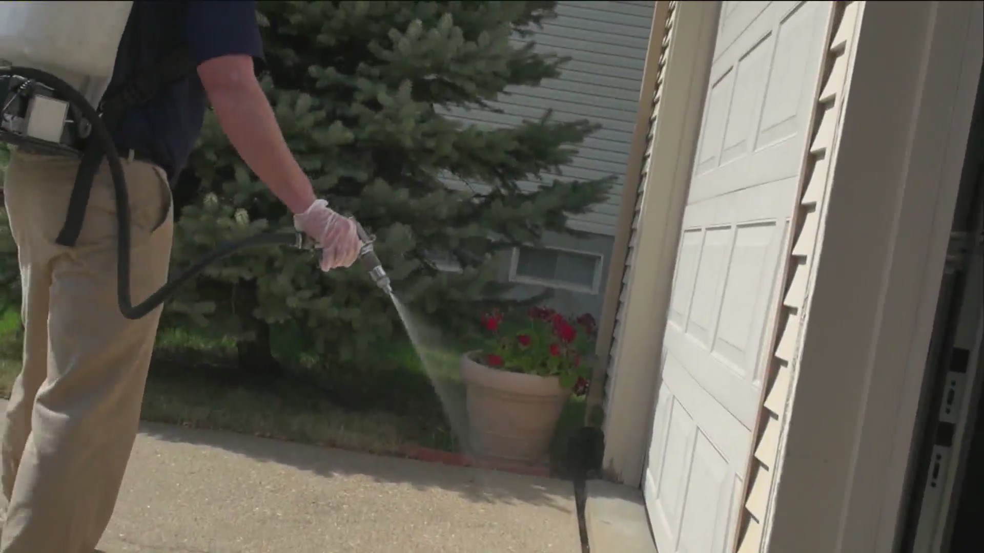 Rottler Pest Solutions solve summer infestation issues – FOX 2