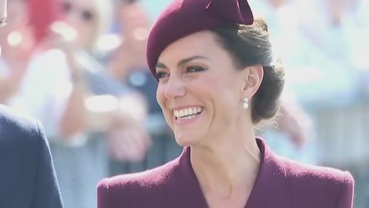 Panel: Cancer announcement ‘reminds us’ princess is human | The Hill ...