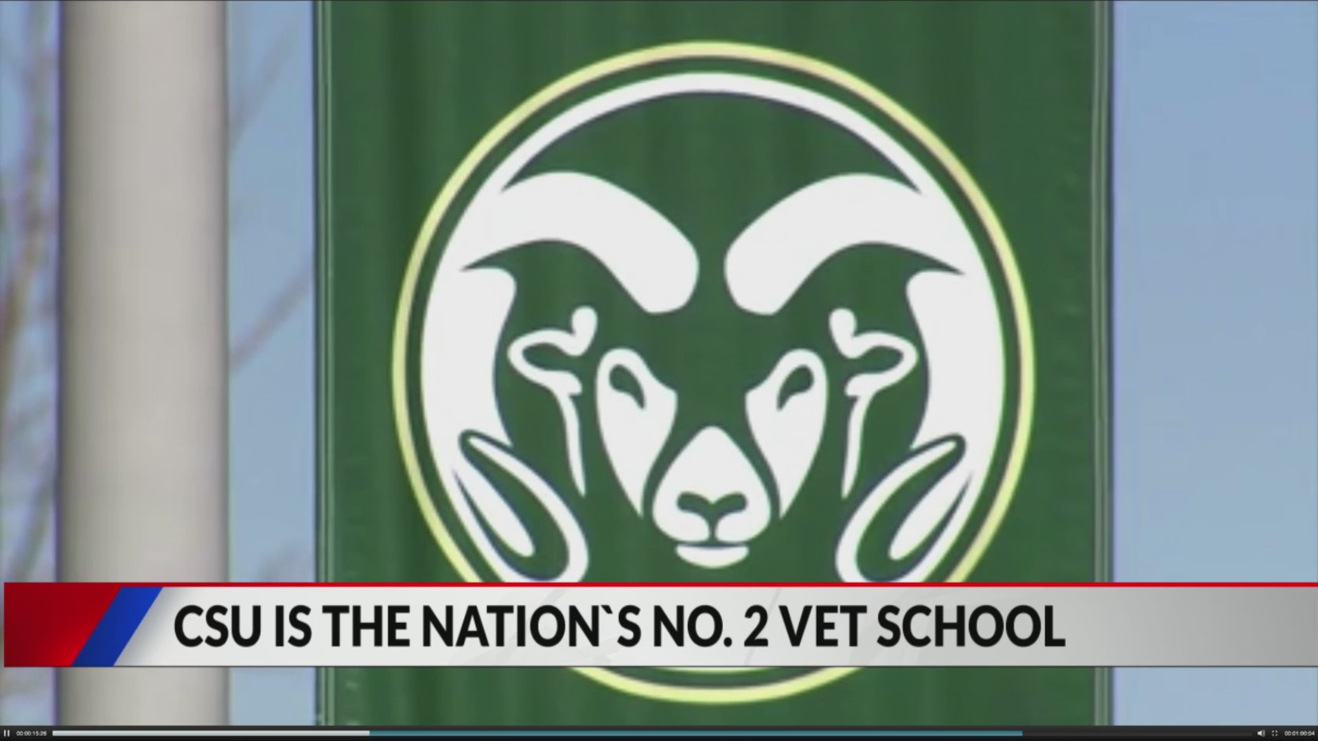 CSU vet school ranked 2nd in nation – FOX31 Denver