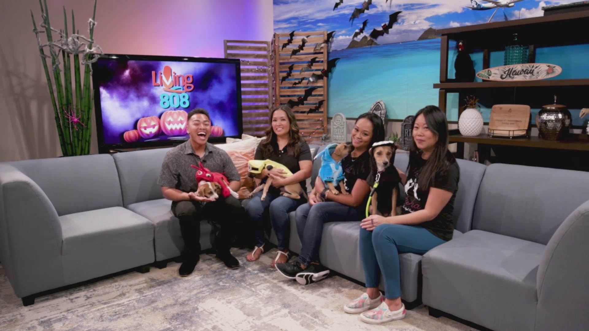 How to Support The Fur Angel Foundation – KHON2