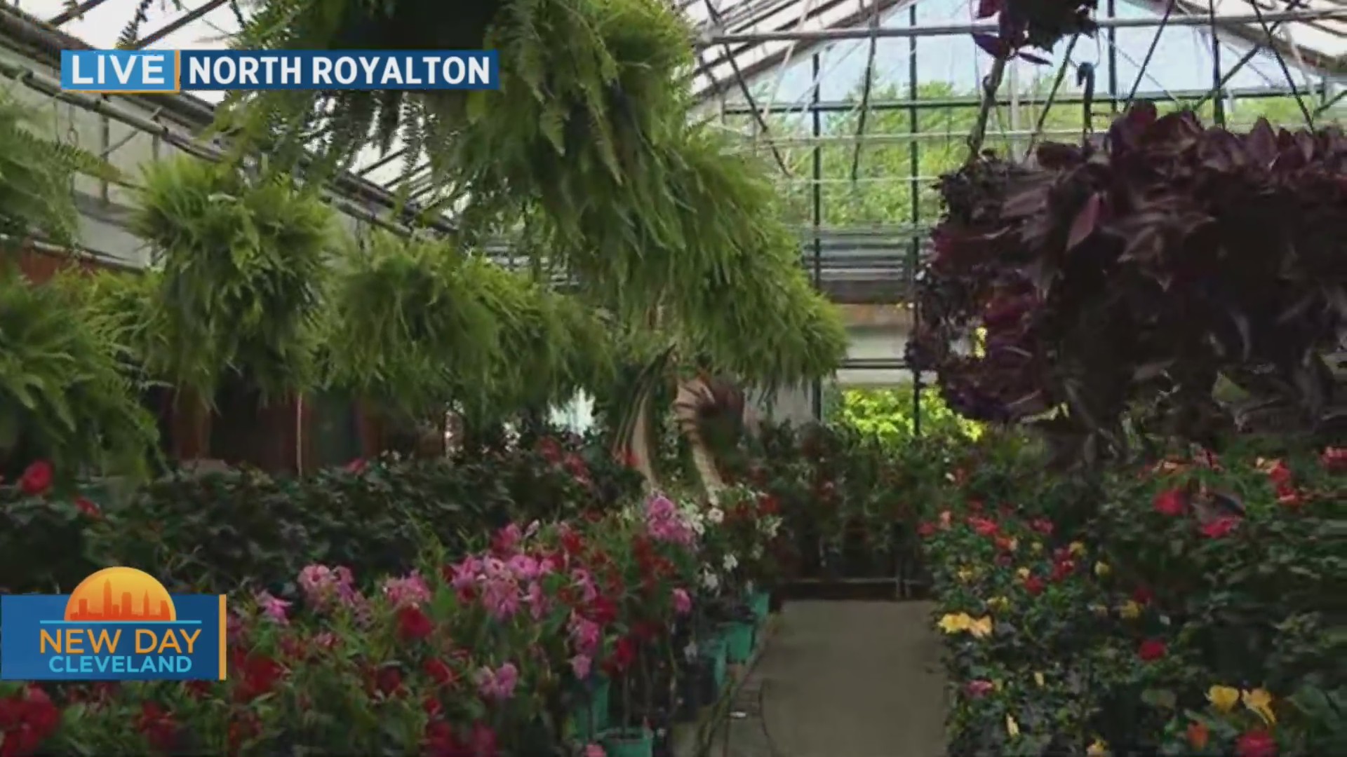 New Day Cleveland: Maria Gardens – Fox 8 Cleveland WJW