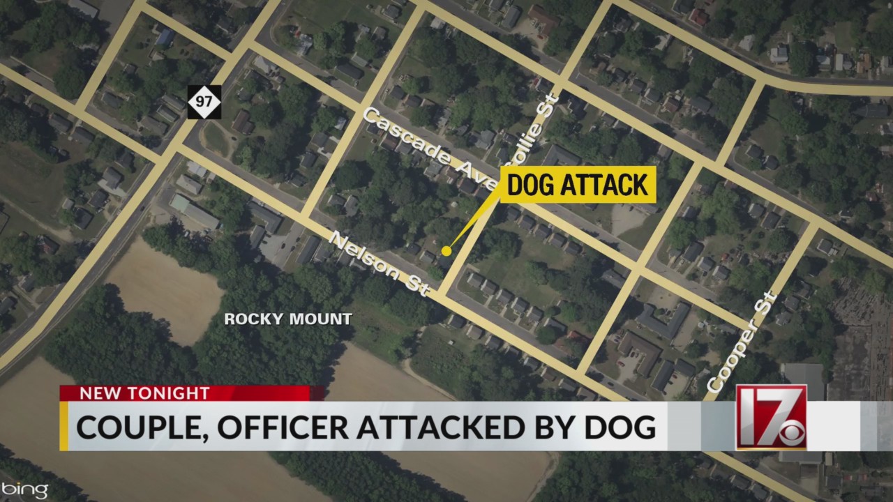 Pit bull shot twice by police after 3 people attacked in Rocky Mount ...