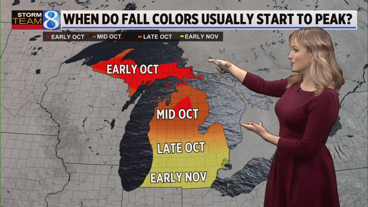 Michigan fall foliage forecast for 2022 – WOODTV.com