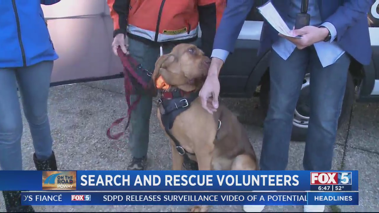 Poway Sheriffs with Search & Rescue K9 Volunteers – FOX 5 San Diego ...