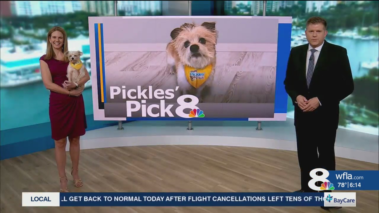 Pickles’ Pick – WFLA