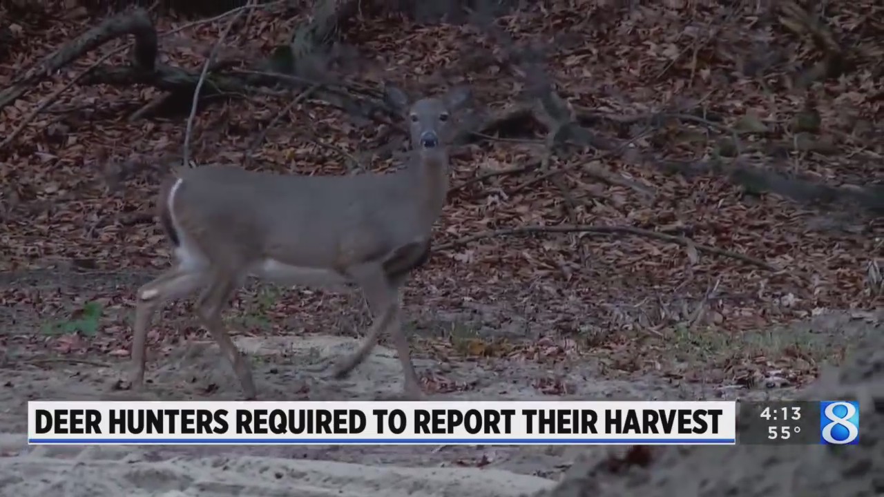Reporting mandate faces backlash ahead of deer hunting season – WLNS 6 News