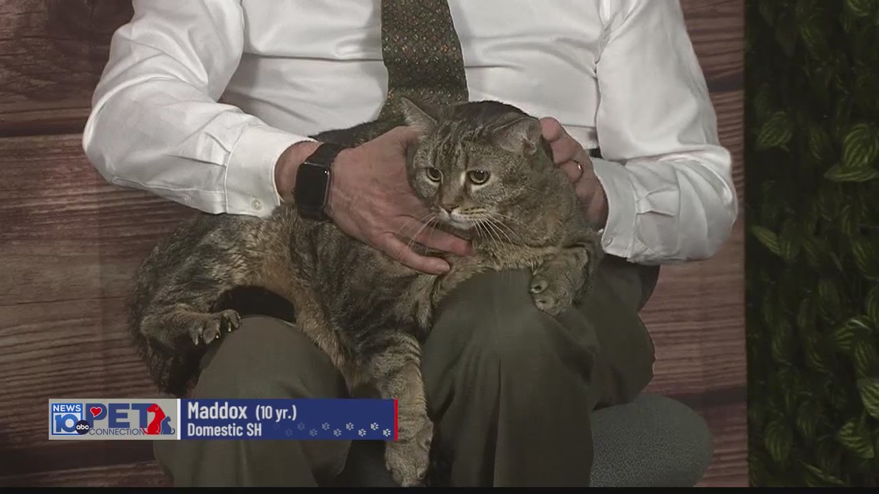 Maddox – NEWS10 ABC