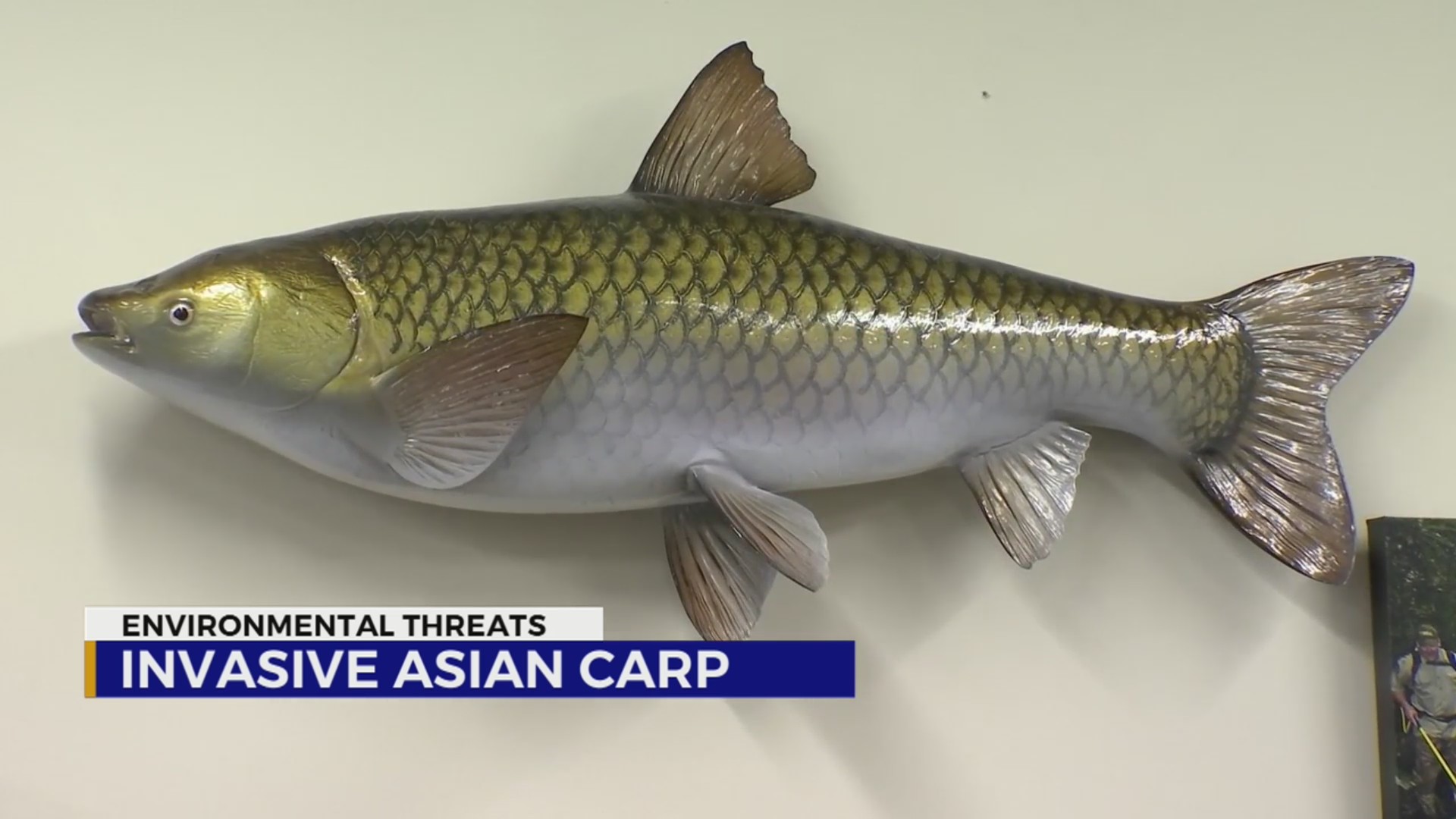 Tackling Invasive Carp in Tennessee – WKRN News 2