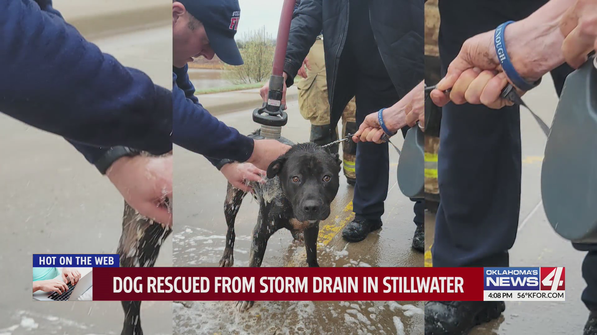 Dog rescued from storm drain in Stillwater – KFOR.com Oklahoma City