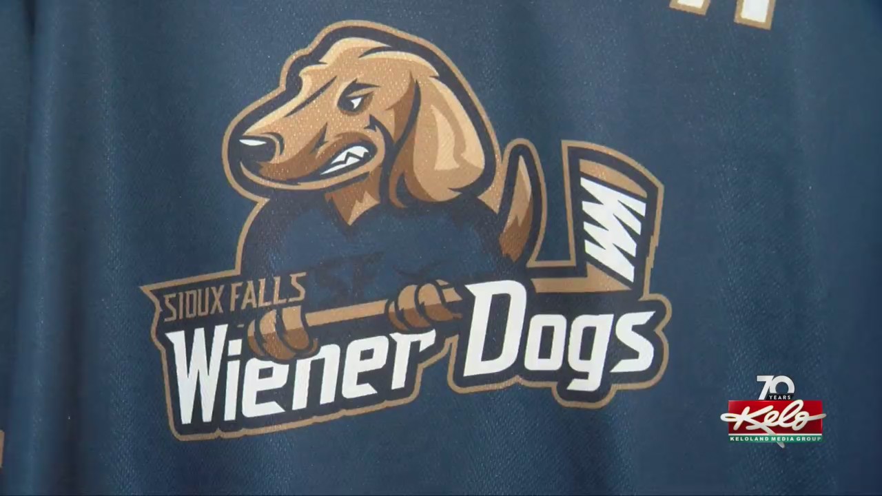 Stampede transforms into Fighting Wiener Dogs – KELOLAND.com