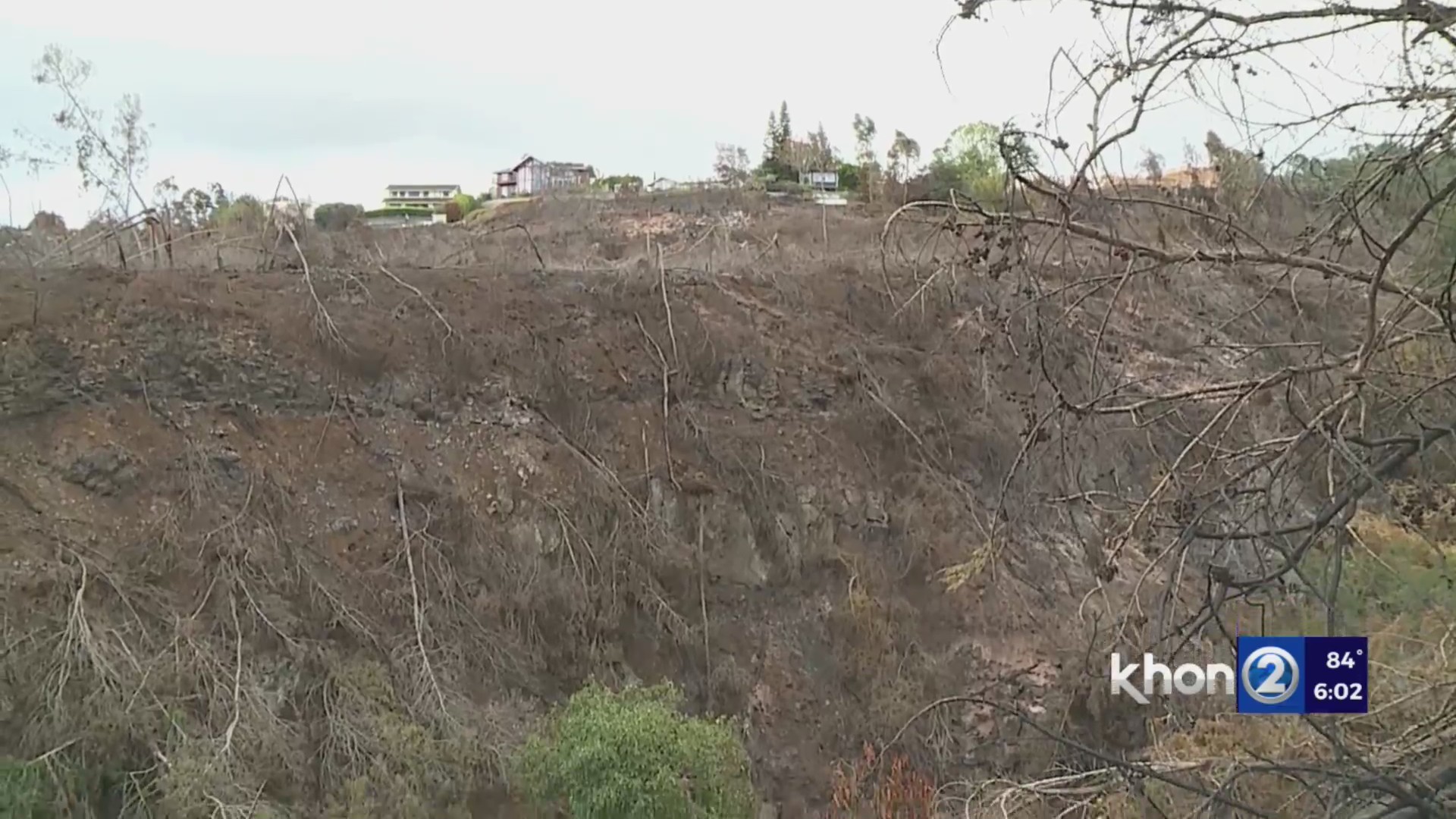Kula community clearing gulch that burned during fire – KHON2
