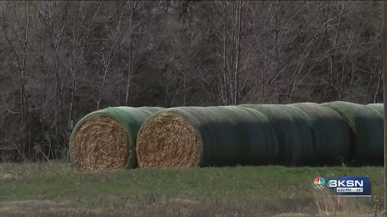 New shingle plant to bring 130 jobs to Newton – KSN-TV