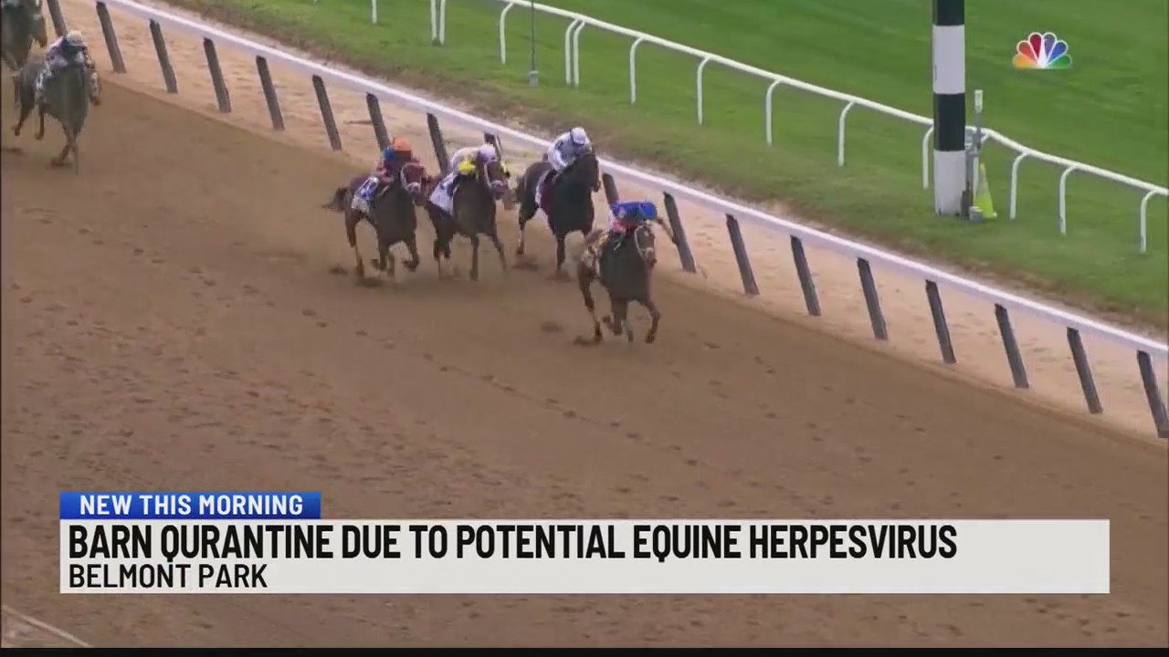 Barn quarantine due to potential equine herpesvirus – NEWS10 ABC