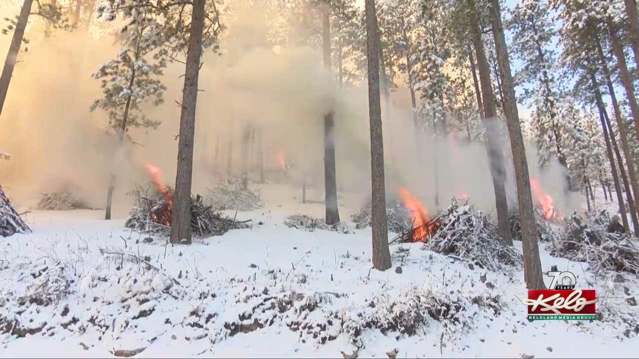 National Forest Service burns slash piles to prevent the spread of ...