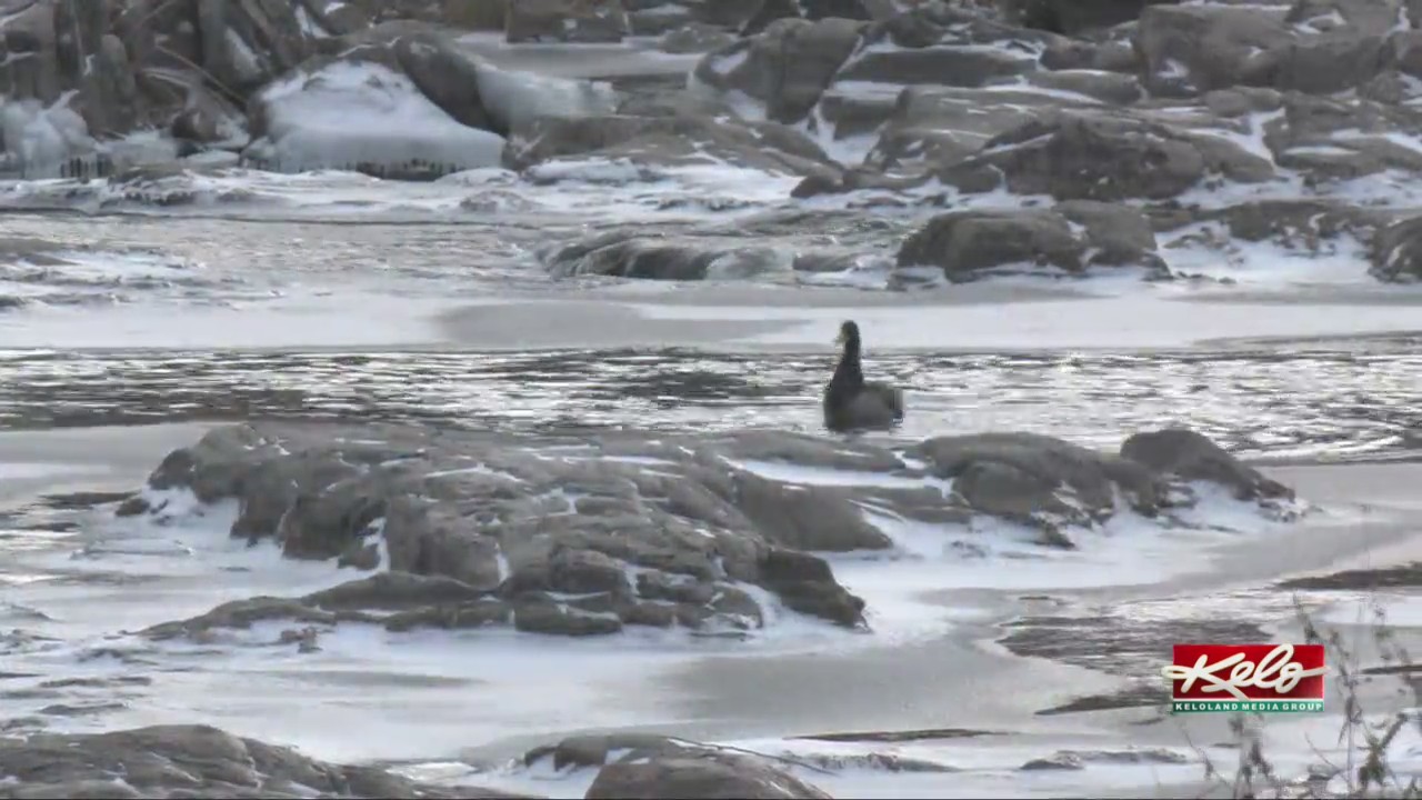 What is an Alberta Clipper and Colorado Low? – KELOLAND.com