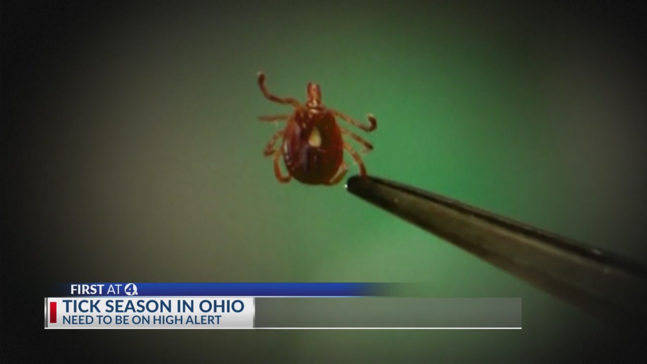 Are ticks still active in the fall in Ohio? – NBC4 WCMH-TV