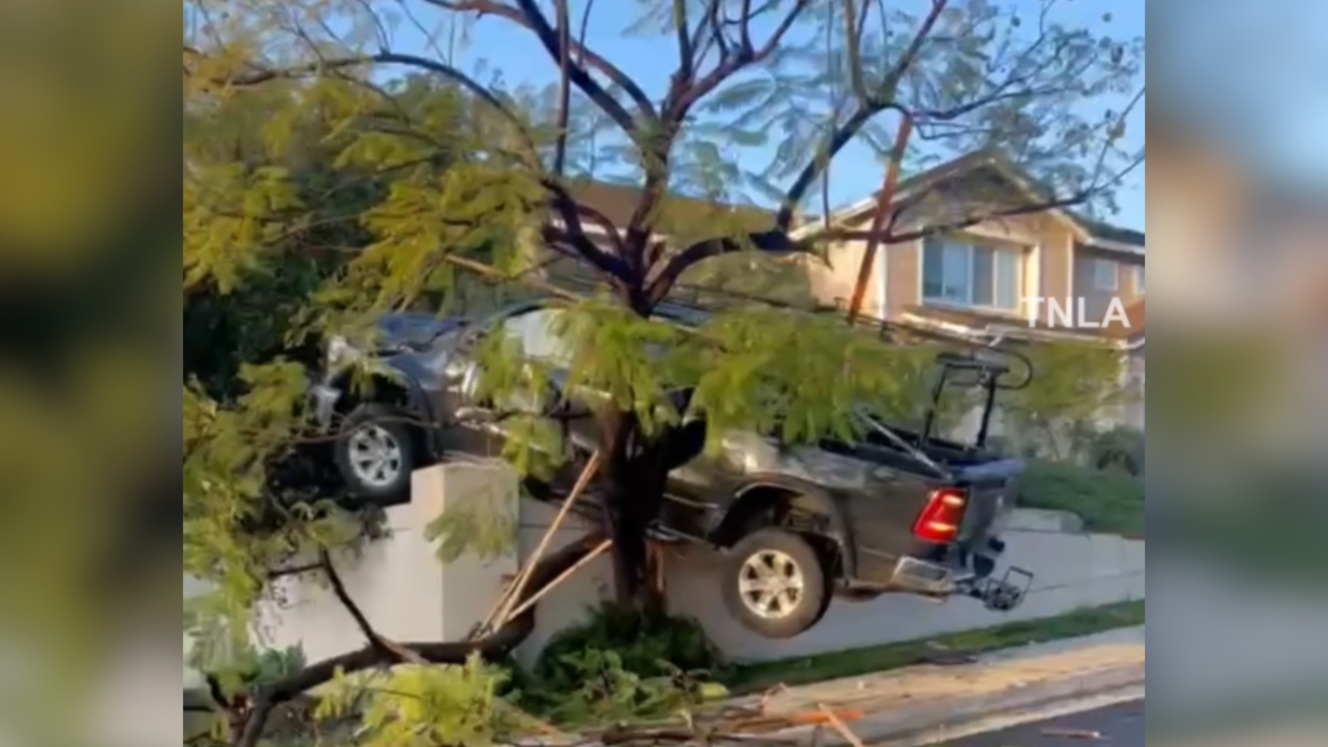 Driver crashes truck into tree – KTLA