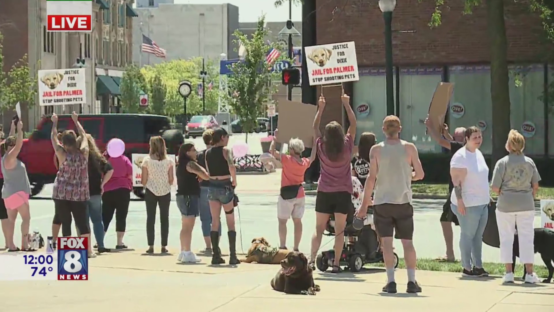 ‘Justice for Dixie’ peaceful rally held after dog was killed by officer ...