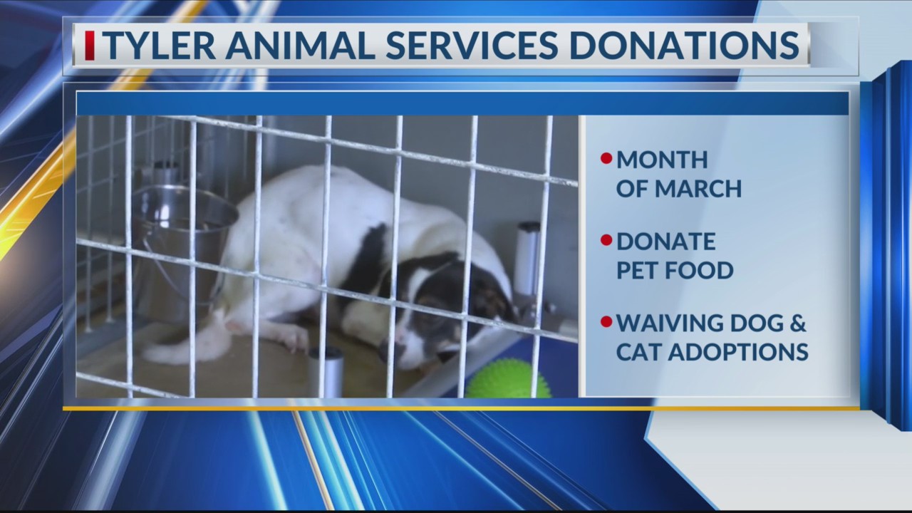 Tyler Animal Services Shelter to waive adoption fees with donation of ...