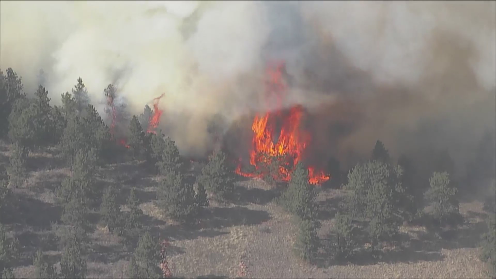 Evacuations expanded for wildfire near Lyons – FOX31 Denver