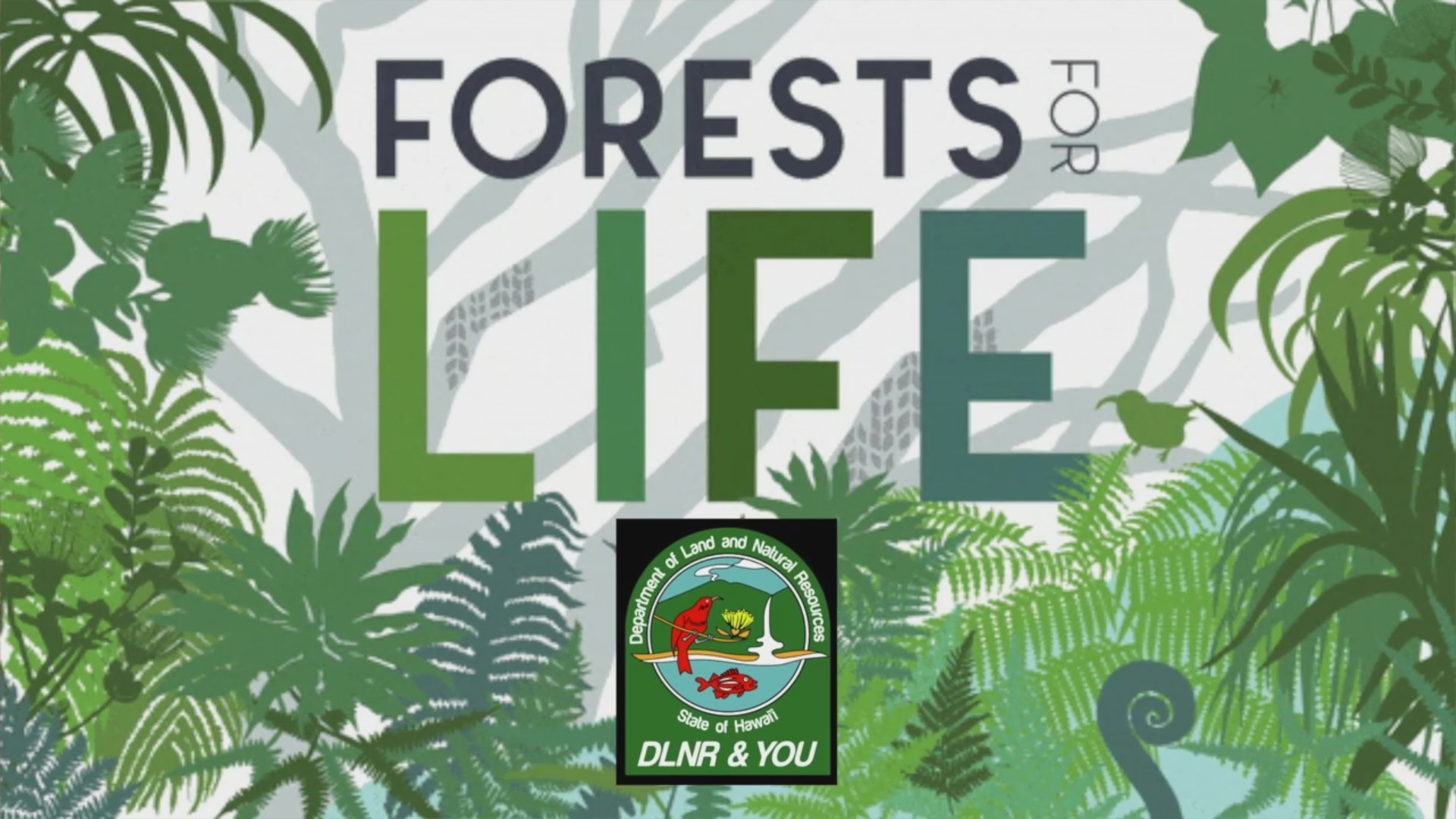 Forests for Life: The Department of Land and Natural Resources Talk ...