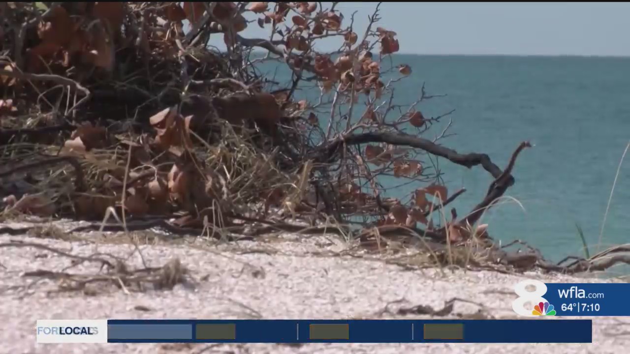 Crucial step being taken towards Sunset Beach reopening – WFLA