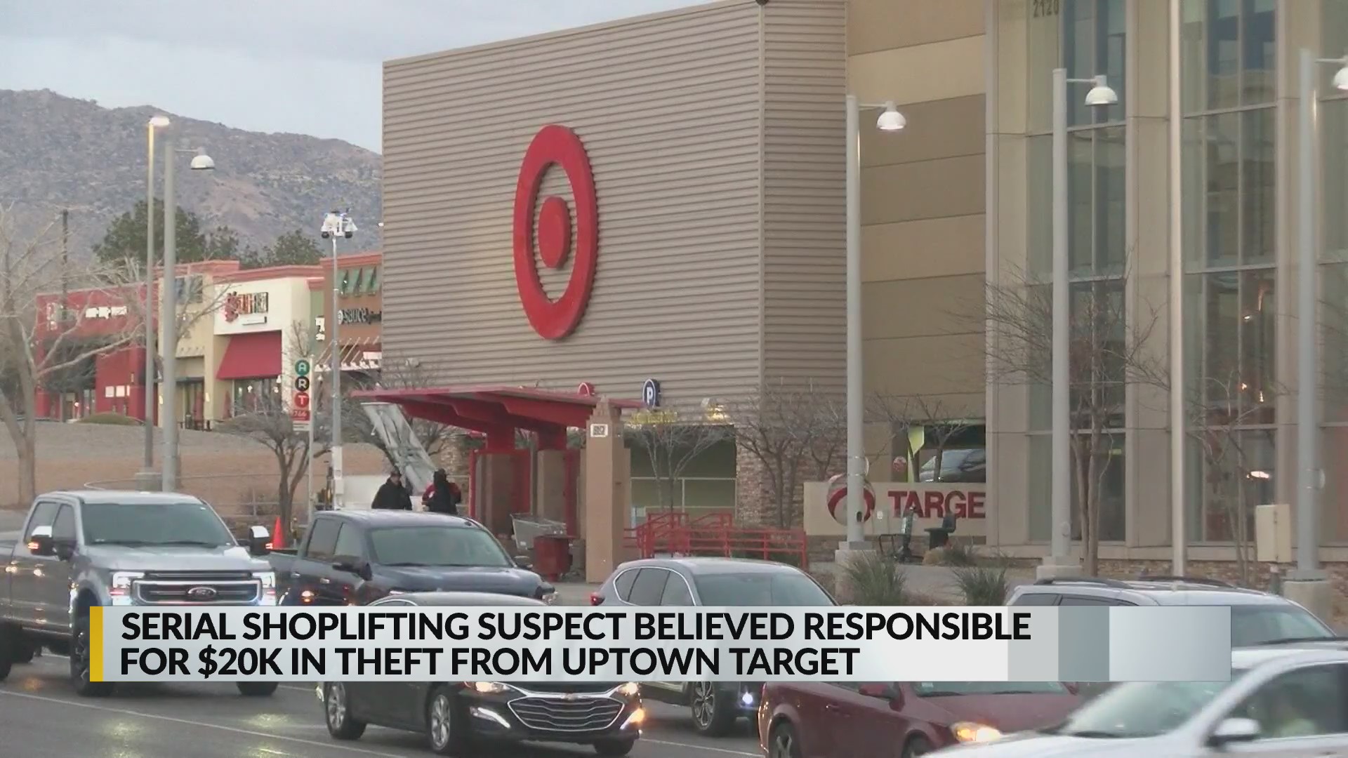 Serial shoplifting suspect believed responsible for $20k in theft ...
