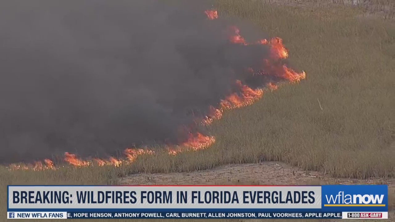 WFLA Now: Wildfires in Florida Everglades – WFLA