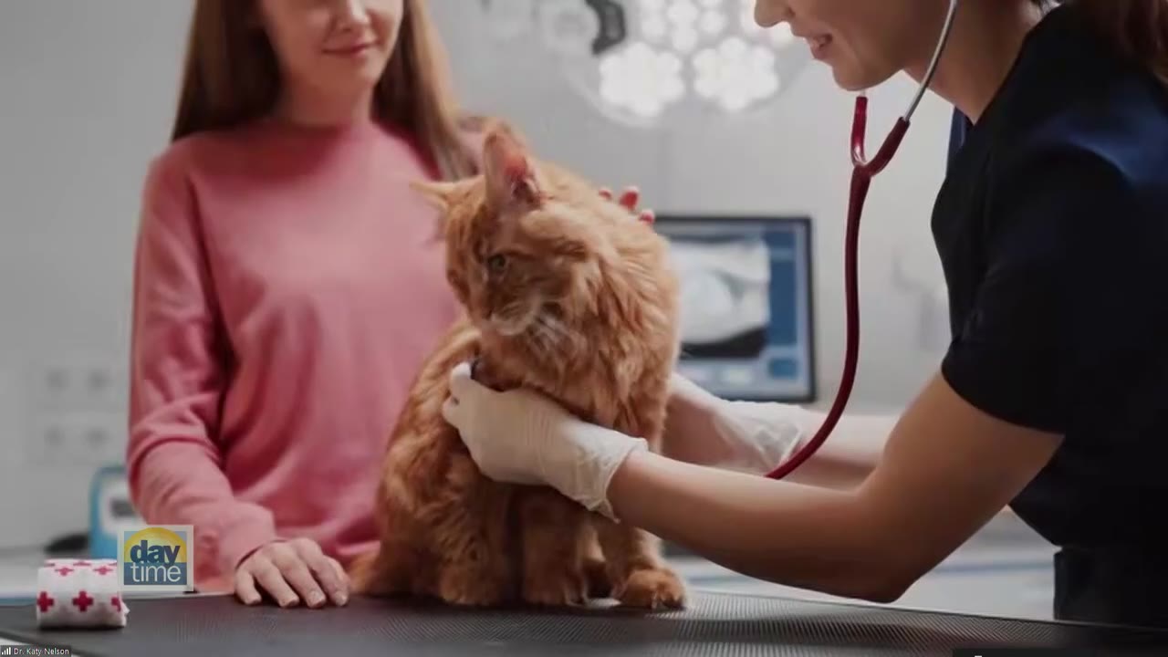 Chewy 2-1-24 – WFLA